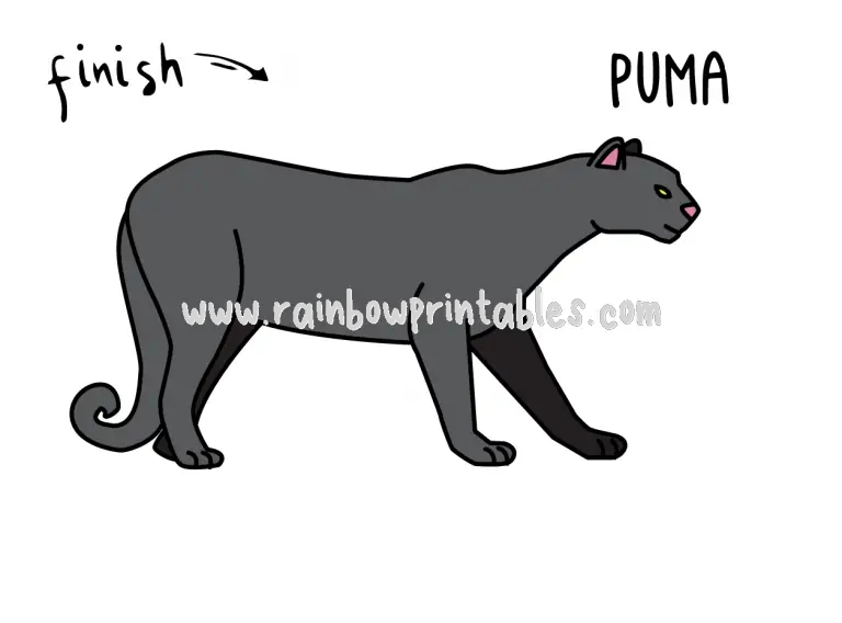 How To Draw a Puma/Mountain Lion/Cougar! Easy Cartoon Drawing Guide for ...
