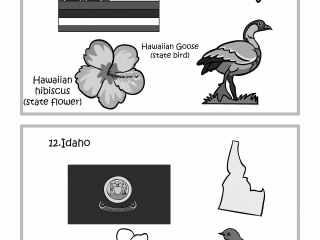 Learning About America: 50 United States Worksheet/Flashcard Printables ...